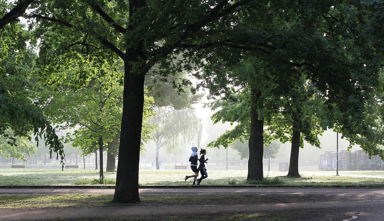 City on the Run: Budapest's Best Running Tracks