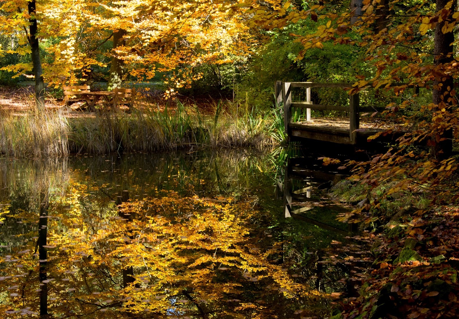6 vadregényes arborétum és botanikus kert Budapesten és környékén