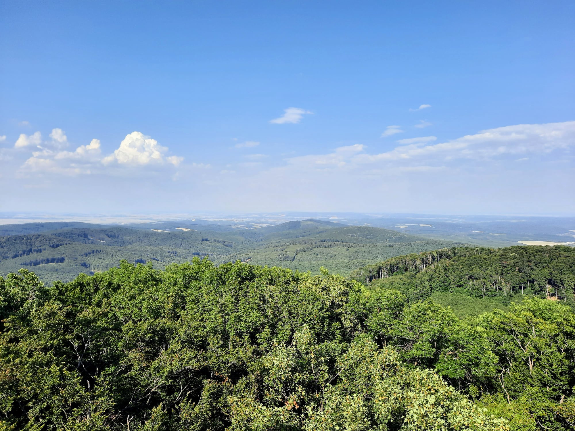Csodahelyek sokasága rejtőzik a mesebeli Mecsekben