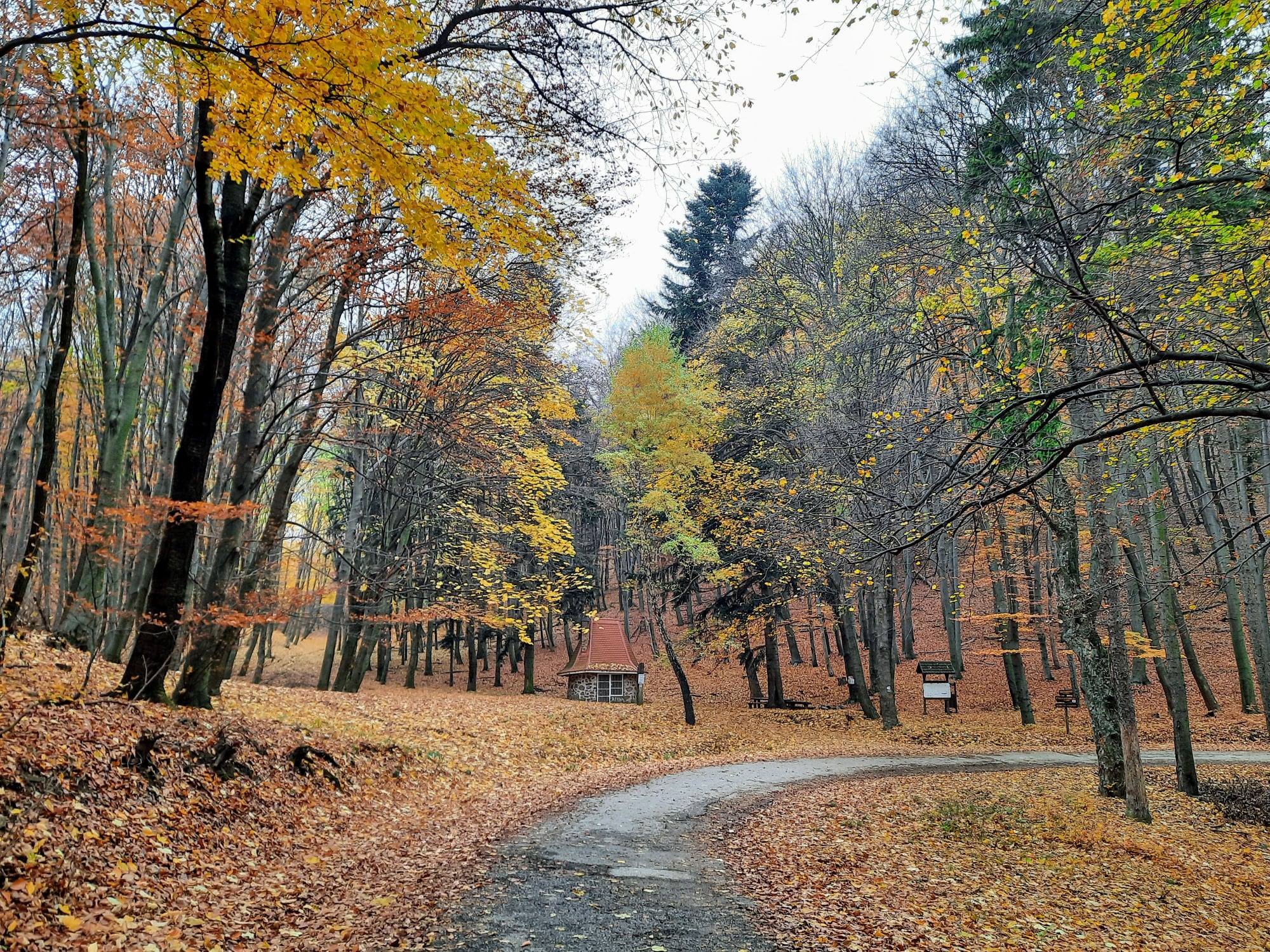 Csodahelyek sokasága rejtőzik a mesebeli Mecsekben