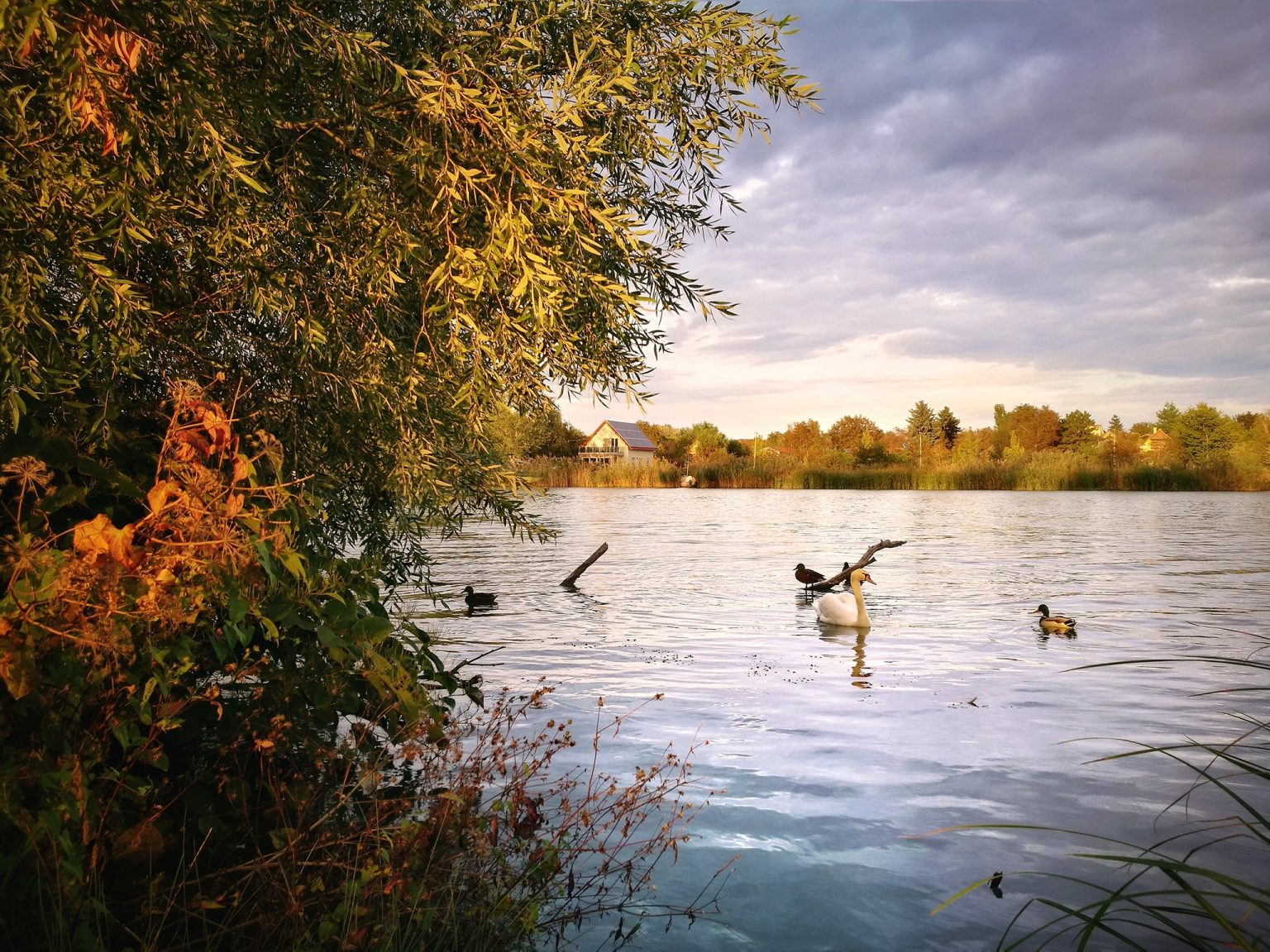 Csepel 7 kincse, amiért érdemes ellátogatni Budapest egyik ...