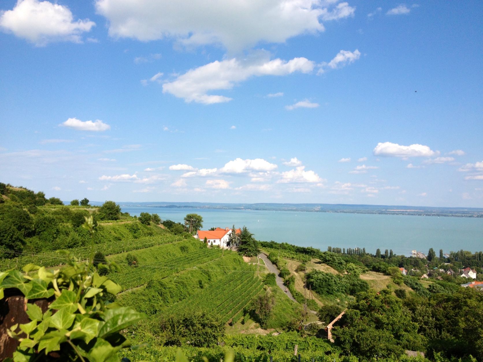 6 kihagyhatatlan program a badacsonyi borvidéken idén nyáron