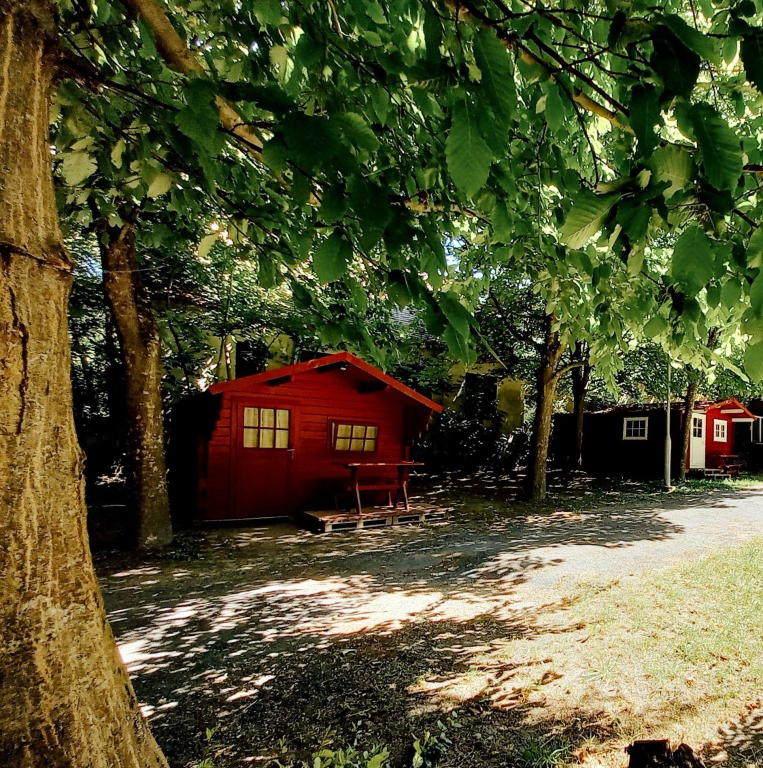 6 vadregényes vízparti kemping, ahol hűsölhettek a forró nyári napokon