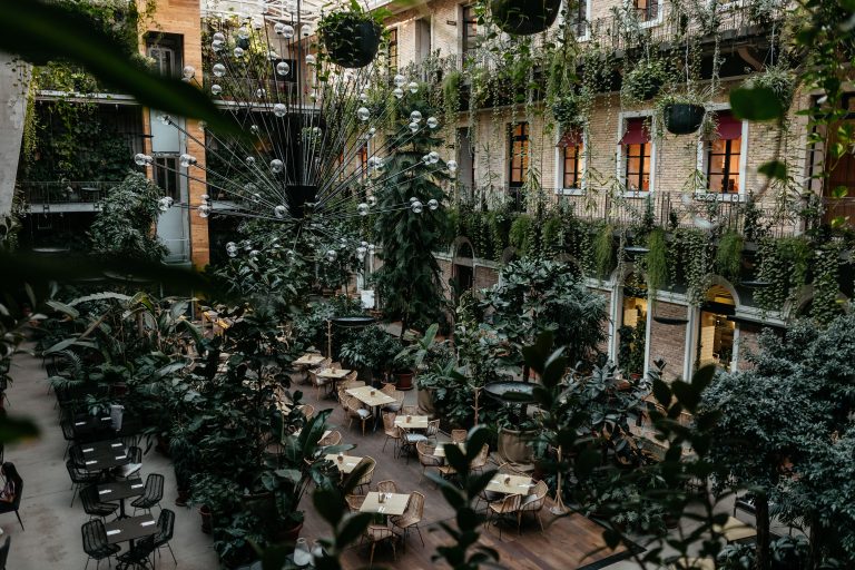 Let's Move In: How to Start Your Life in Budapest