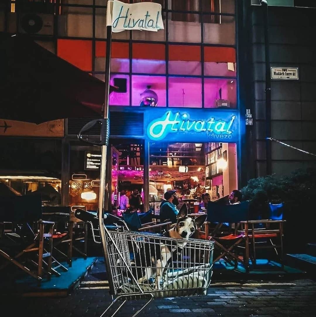 Budapest Bar Guide: 6 Pubs to Visit This Month