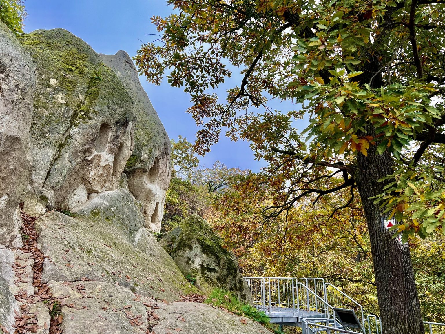 Rejtélyes kőalakzatokat rejt a Bükkalja vadregényes tanösvénye
