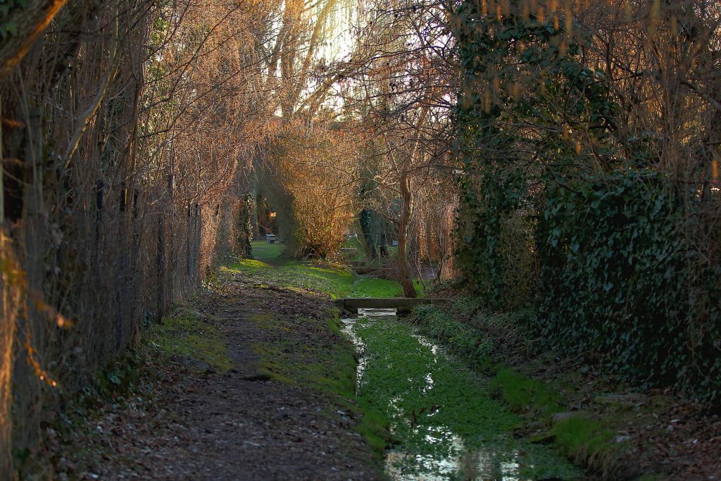 A sokszínű XVI. kerület 7 kincse, amit megéri felfedezni