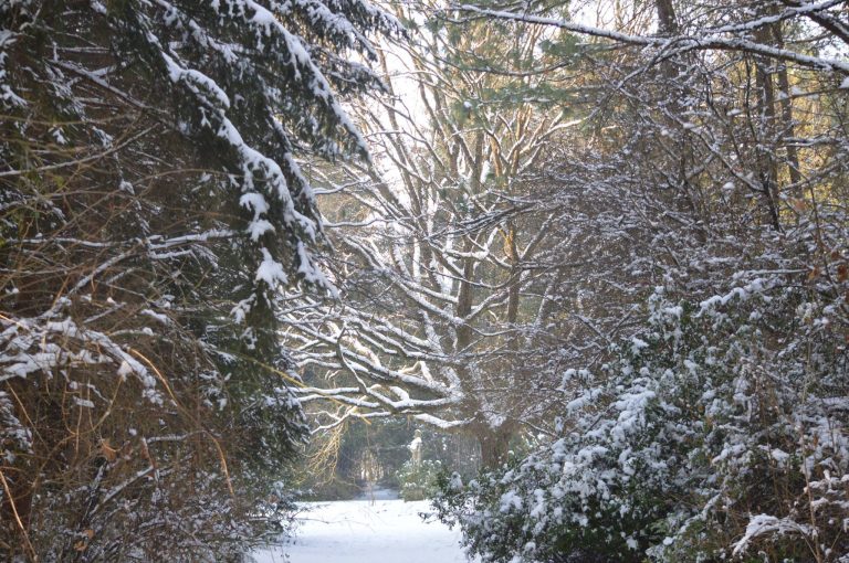 8 télen is csodálatos kirándulóhely Budakeszin és környékén