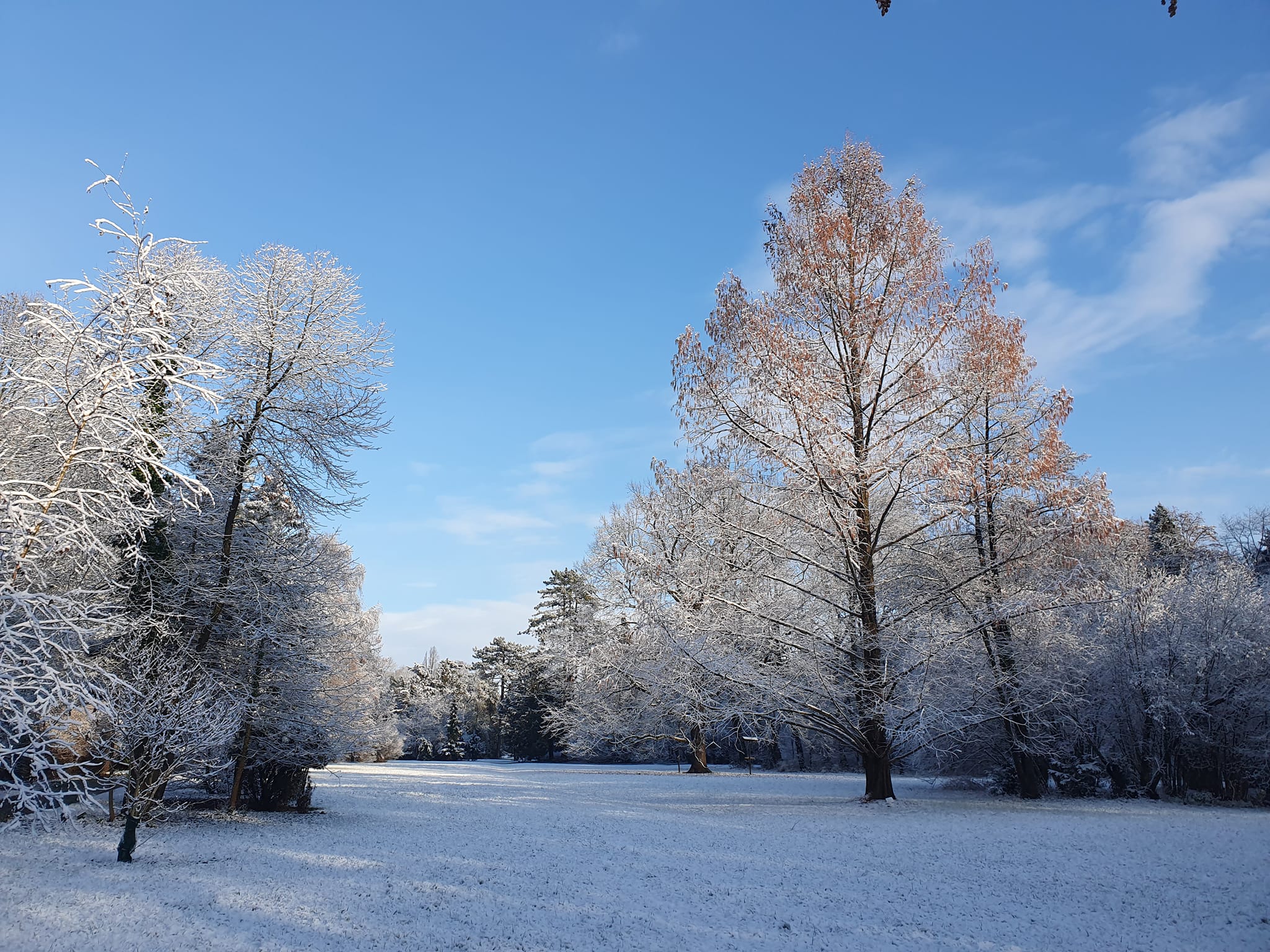 Útikalauz a Holt-Körös festői vidékének egyik legszebb városához ...