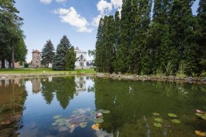 7 bámulatos kirándulóhely és látnivaló Nagykovácsiban és környékén