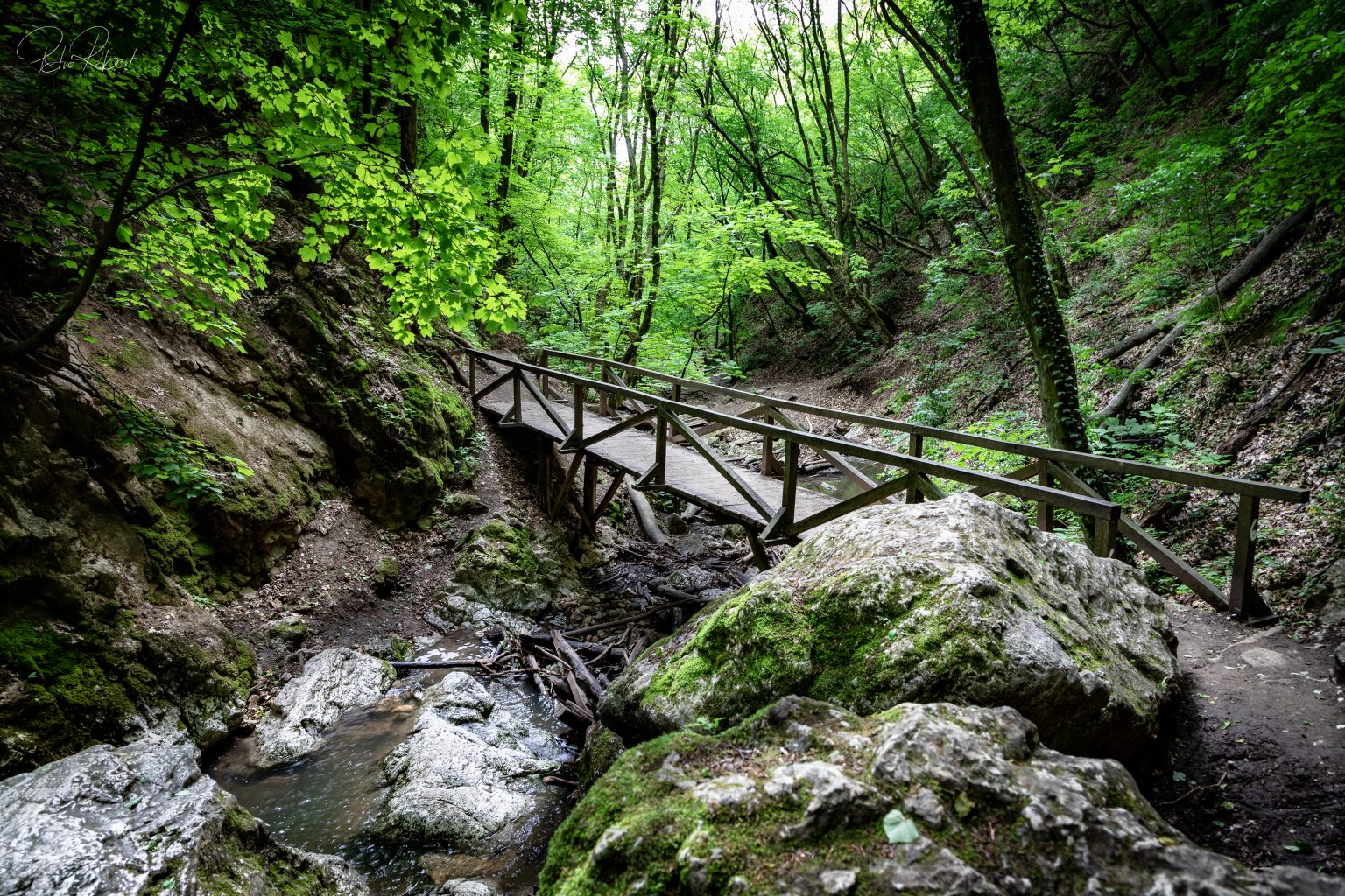 8 patakparti kirándulóhely országszerte vadregényes erdei kirándulásokhoz