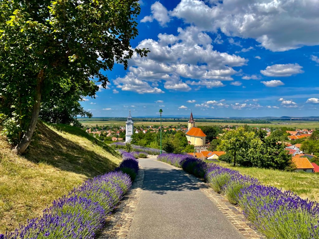 11 kihagyhatatlan látnivaló és program a páratlan szépségű Tokajban és ...