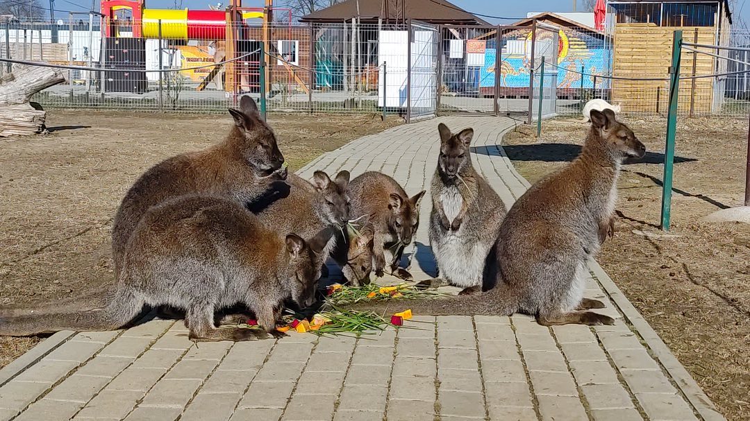 Tisza-tavi kedvenceink: 5 kihagyhatatlan program és látnivaló a környéken