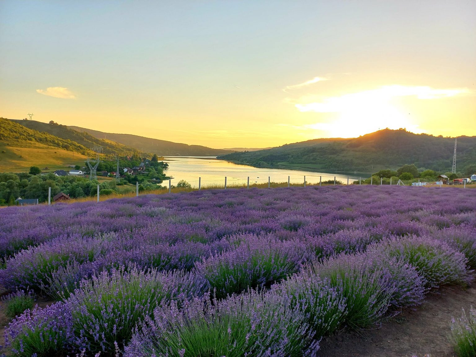 25+ varázslatos levendulás program és szedd magad lehetőség ...