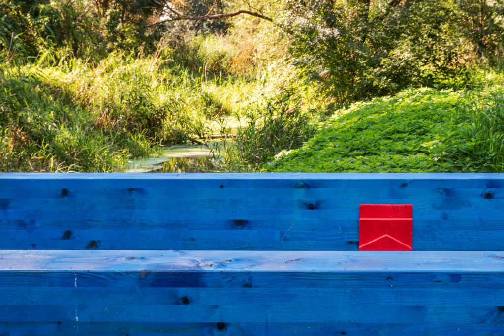 Vadonatúj tanösvény enged bepillantás a lápvidék titkaiba Budapesttől ...