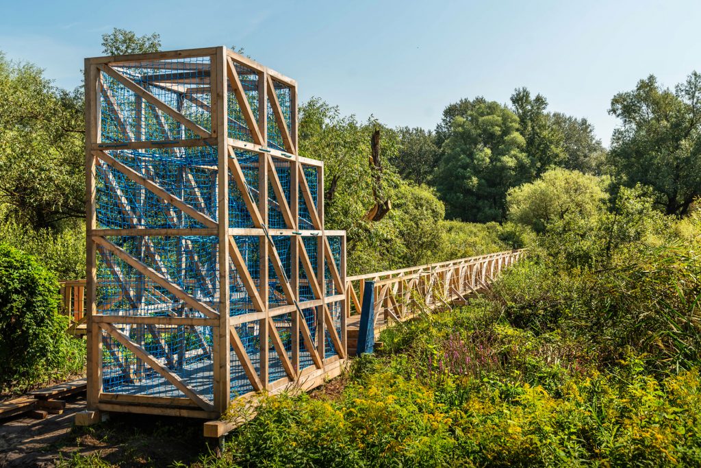 Vadonatúj tanösvény enged bepillantás a lápvidék titkaiba Budapesttől ...