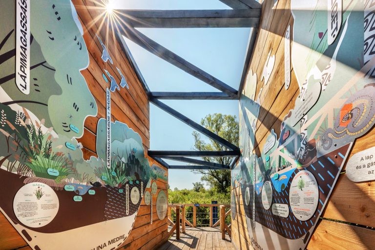 Vadonatúj tanösvény enged bepillantás a lápvidék titkaiba Budapesttől ...