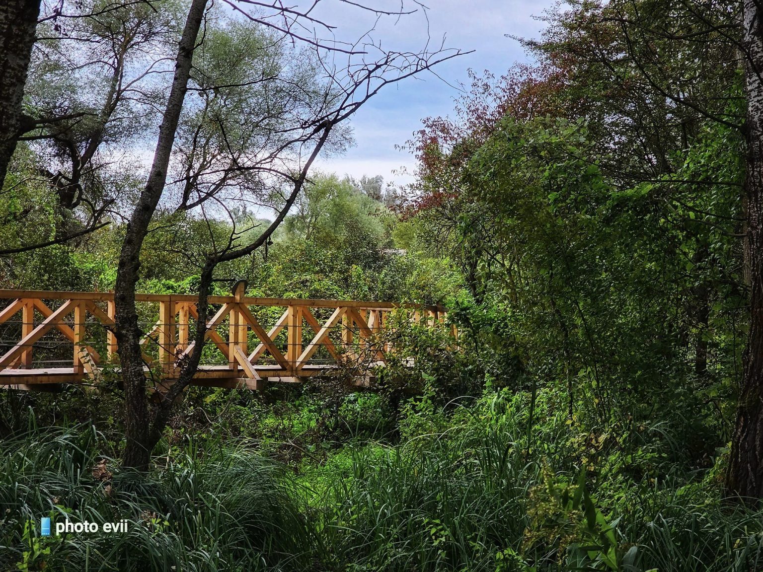 Vadonatúj tanösvény enged bepillantás a lápvidék titkaiba Budapesttől ...
