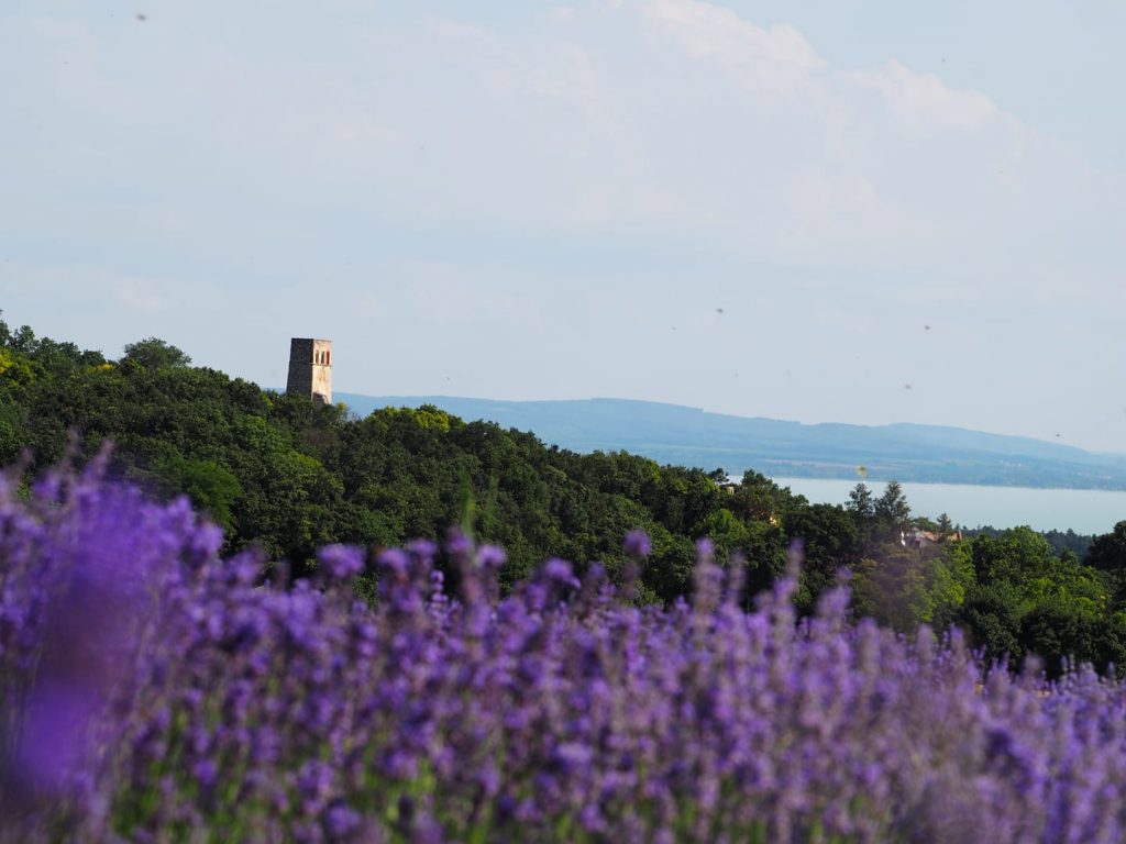 5 lenyűgöző völgy, melyek mentén felfedezhetjük a Balaton-felvidék kincseit