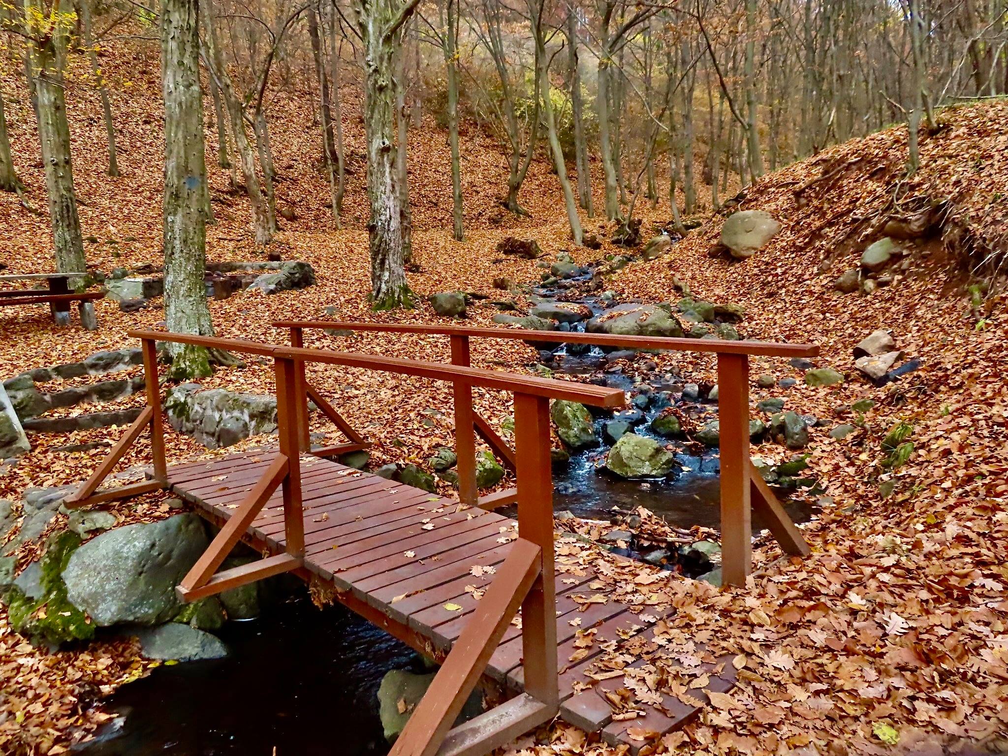 10 kihagyhatatlan látnivaló a Mátrában felejthetetlen őszi kirándulásokhoz