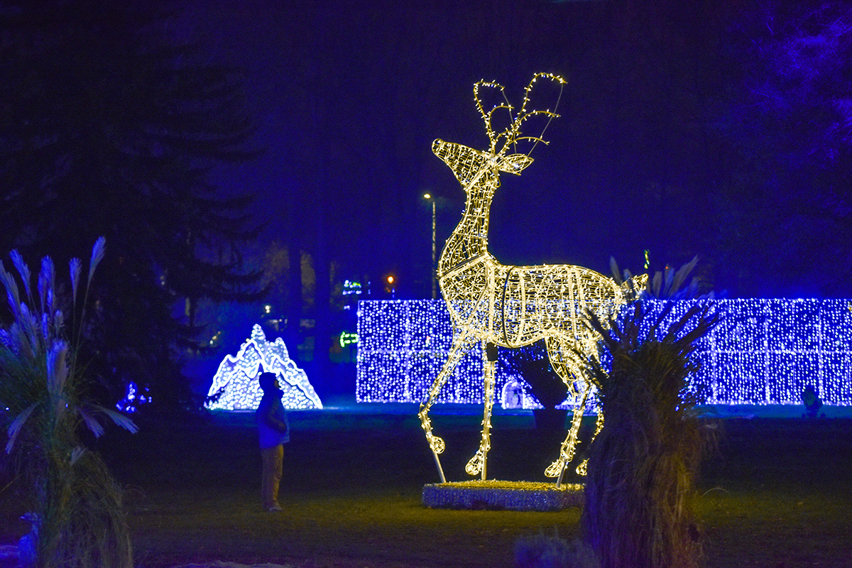 10 szenzációs téli fesztivál Budapesten 2024 januárjában