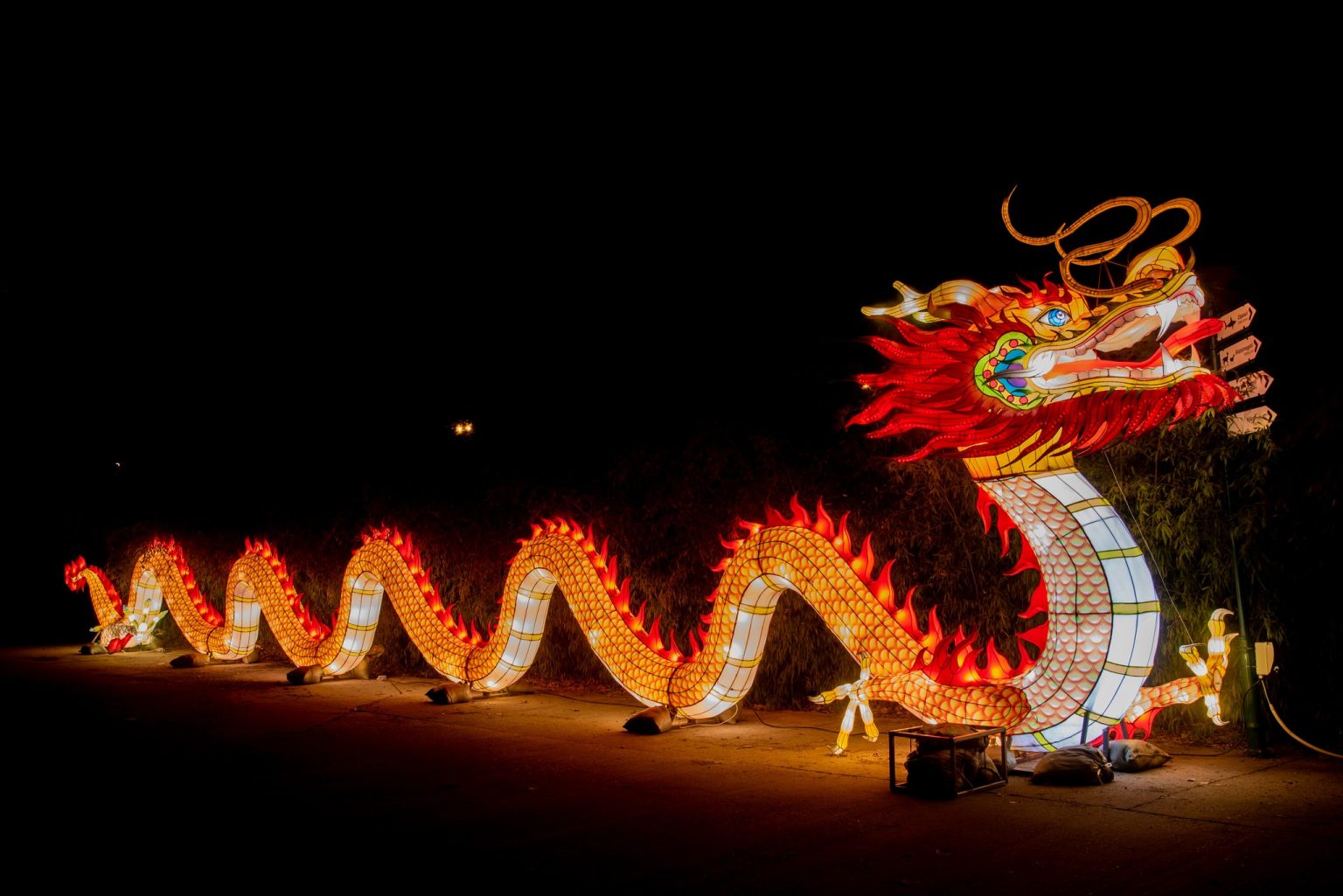 5+1 kihagyhatatlan program 2024-ben Budapesten a kínai újév alkalmából