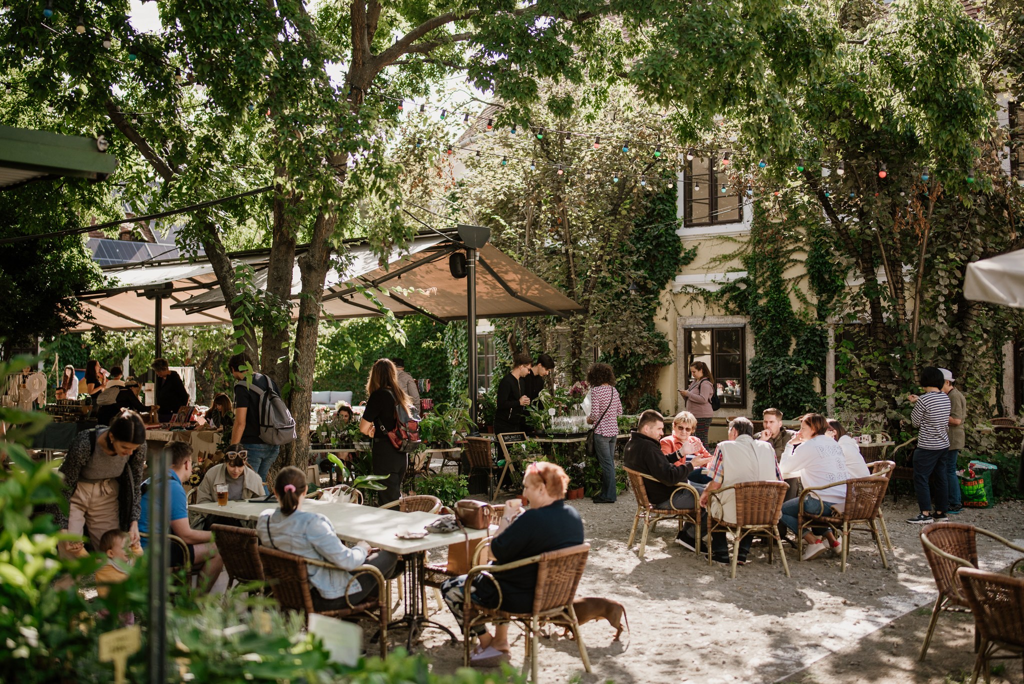 Unveiling Óbuda: Budapest's Hidden Gem